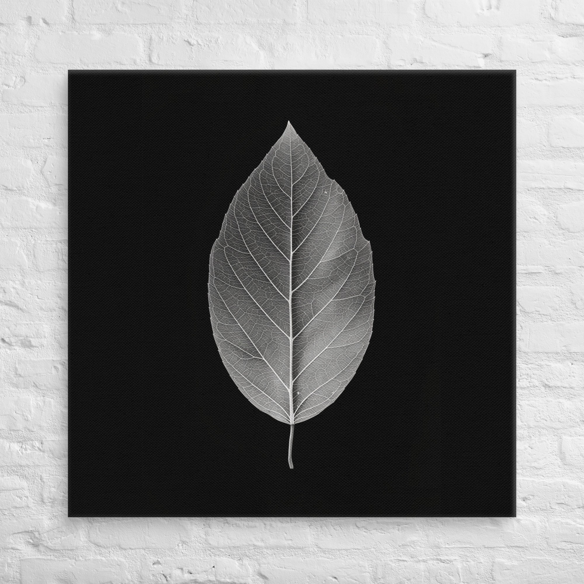 Nature Unveiled II